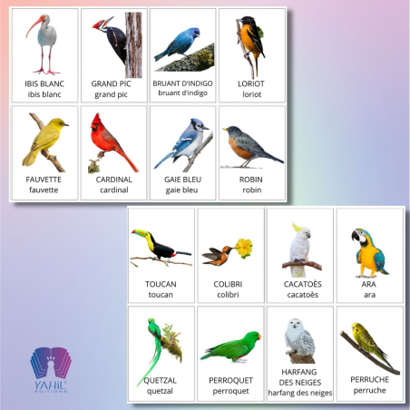 Cartes de nomenclature - Oiseaux